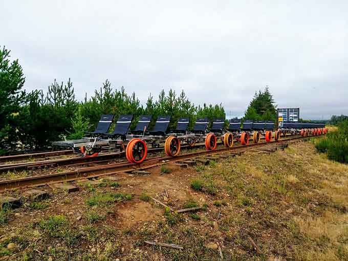 These colorful contraptions are your ticket to exploring parts of the forest most people never see.