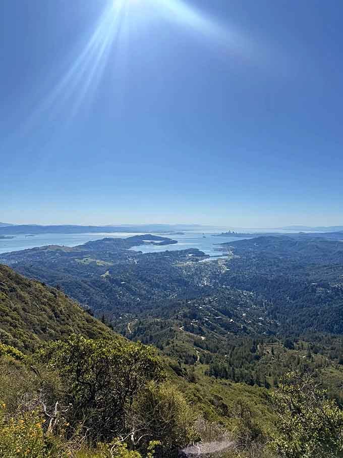 San Francisco sparkles below while you stand above it all, literally on top of the world.