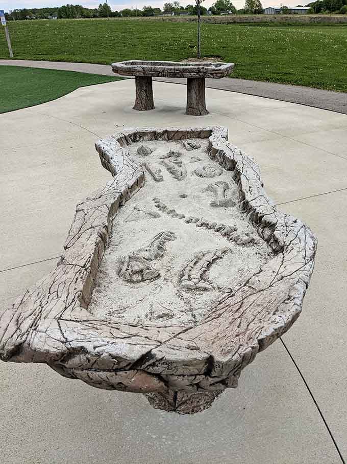 The fossil dig table where future archaeologists practice their craft, or just make really satisfying patterns in the sand for hours.