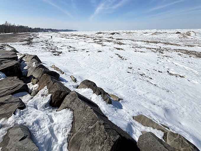Winter transforms the shoreline into something from a nature documentary, proving this place earns its beauty year-round.