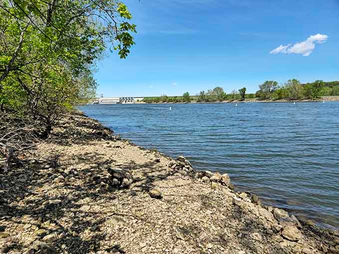 Truman Lake stretches wide and inviting, where boats dot the horizon and fishing stories grow with each telling over cold drinks.