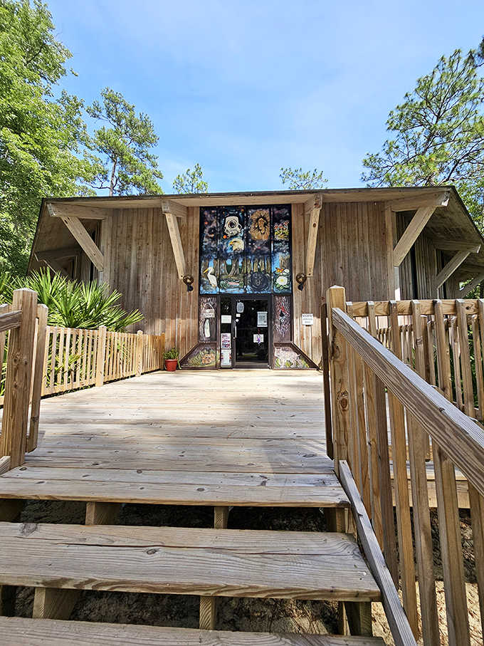 Southern Forest World's rustic boardwalk leads into exhibits celebrating the timber heritage that built this region's economy.