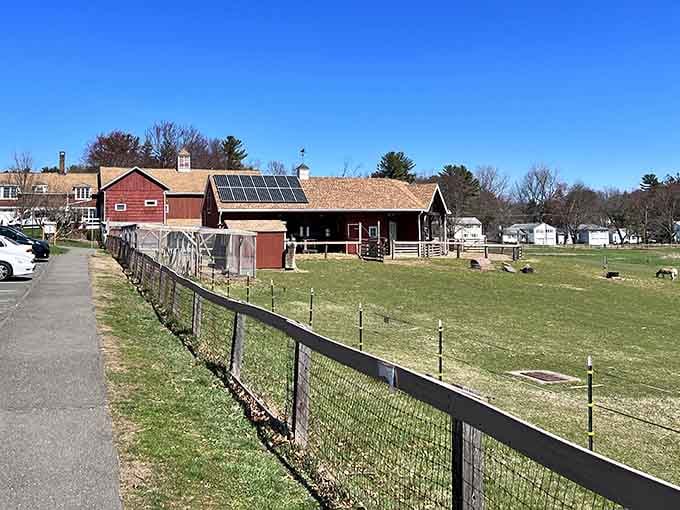 Westmoor Park offers green space where you can breathe deeply, walk slowly, and remember why you chose Connecticut in the first place.