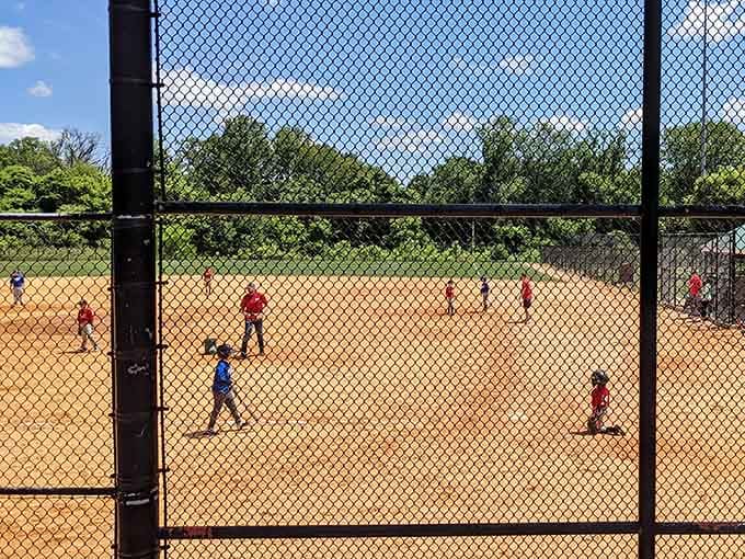 Baseball diamonds where future Hall of Famers and future accountants all start with the same dream and dusty knees.