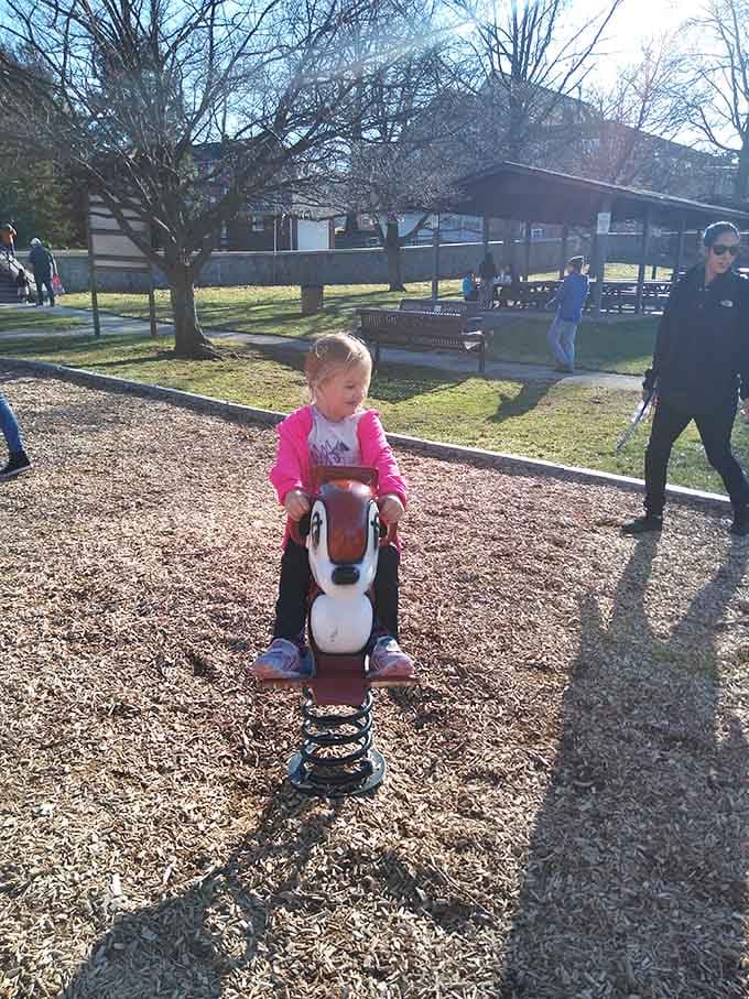 Spring-mounted rides bring squeals of delight, proving that sometimes the simplest pleasures create the biggest smiles and memories.