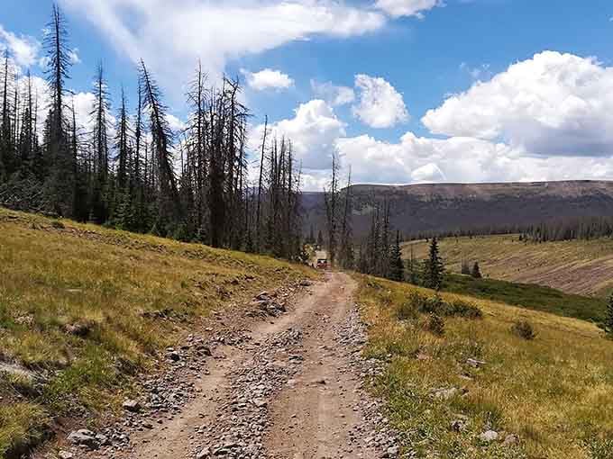 This rocky road makes your vehicle earn every inch of progress, turning the journey into half the adventure.
