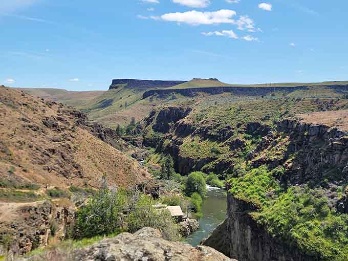 The high desert canyon stretches endlessly, proving Oregon has more landscapes than a choose-your-own-adventure book.