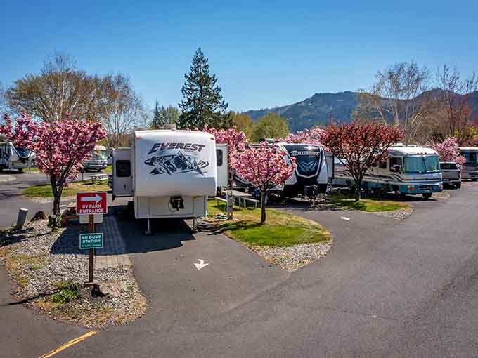Gorge Base Camp welcomes RVers with springtime blossoms that make even parking lots look like they're trying too hard.