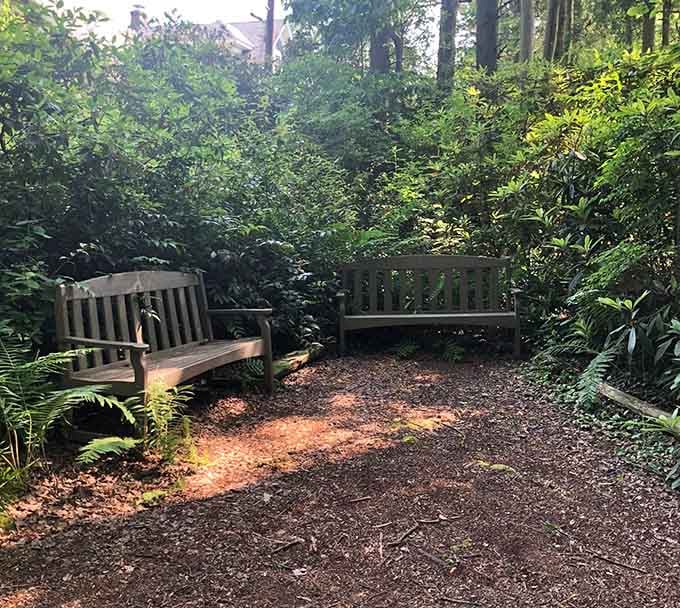 Quiet garden benches offer peaceful spots to pause and soak in the surrounding Pine Barrens tranquility.