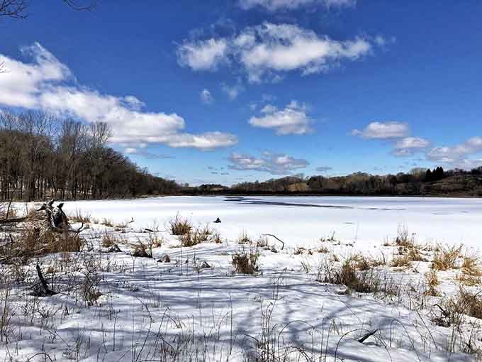 Winter transforms the wetlands into scenes so pristine you'll forget you're still within cell phone range.