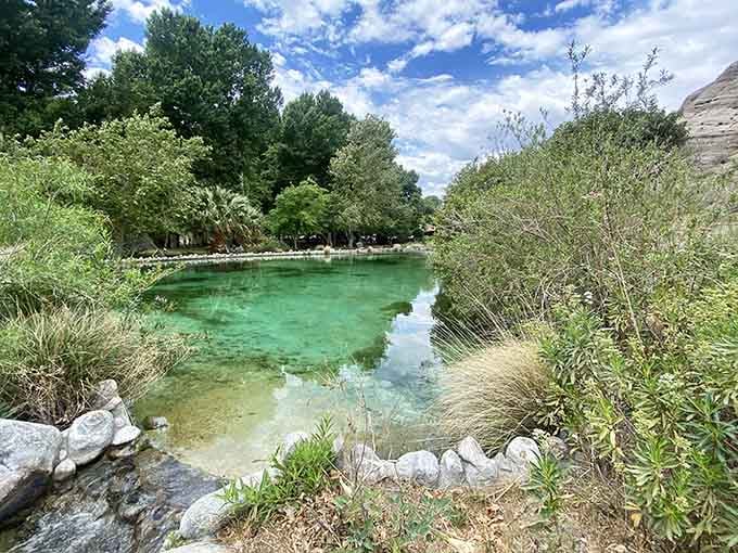 Water so clear you can see tomorrow, nestled in greenery that shouldn't exist but gloriously does anyway.