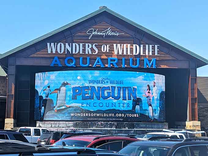 The penguin encounter advertised here proves Missouri can bring Antarctic adventures to the heartland successfully.