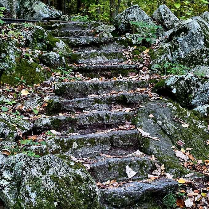 Stone steps carved by time and water create a natural staircase that's been here longer than us.