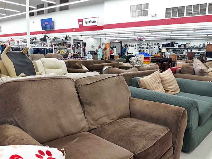 Comfortable sofas invite you to imagine them in your living room, minus the furniture store sticker shock.