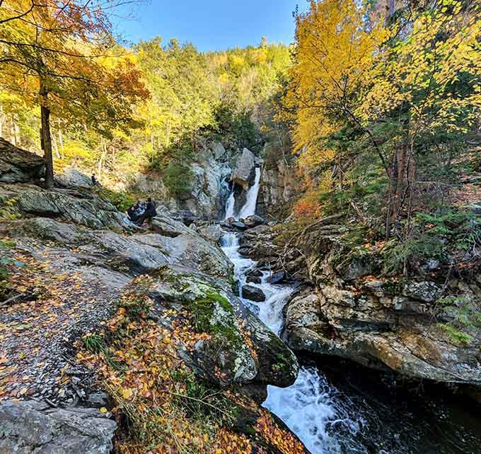 Bash Bish Falls crashing through golden autumn foliage is the Berkshires showing off at full volume.