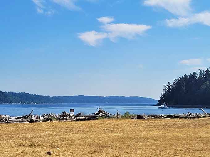 A lone boat glides across sapphire waters framed by evergreen shores&mdash;pure Pacific Northwest perfection.