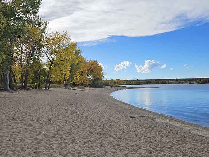 Sandy beach meeting calm water under autumn trees&mdash;like finding Lake Tahoe hiding in your own backyard.