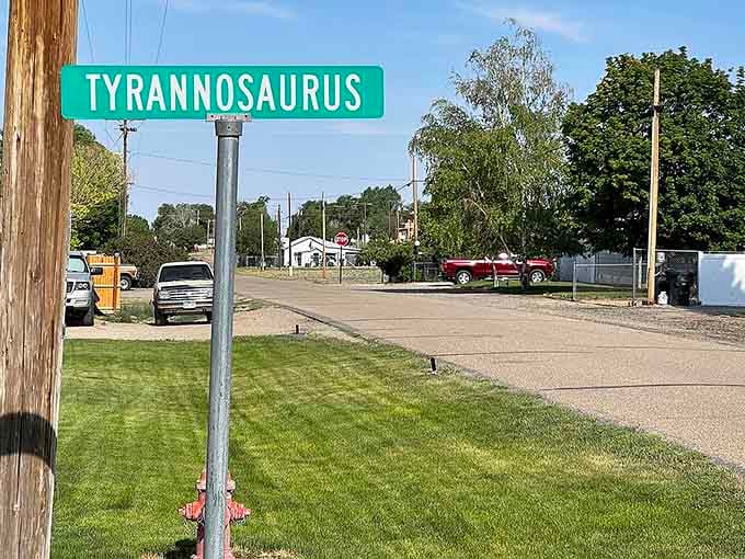 A street named Tyrannosaurus tells you this town embraces its prehistoric neighbors with humor and genuine small-town pride.