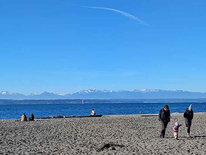 Snow-capped mountains rise across the water, reminding you that Washington beaches come with views other states can only dream about.