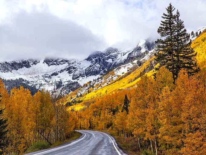 Fresh snow meets golden aspens in this perfect collision of seasons that photographers dream about all year long.