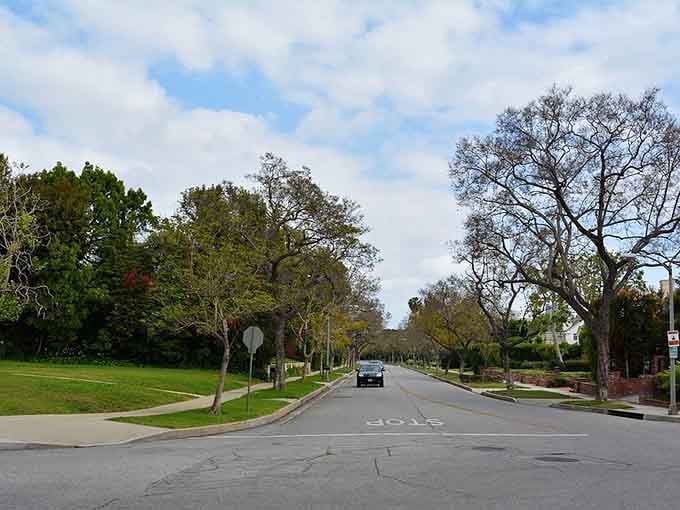 Tree-lined streets curve gently through neighborhoods where Sunday drives still mean something special to local families.