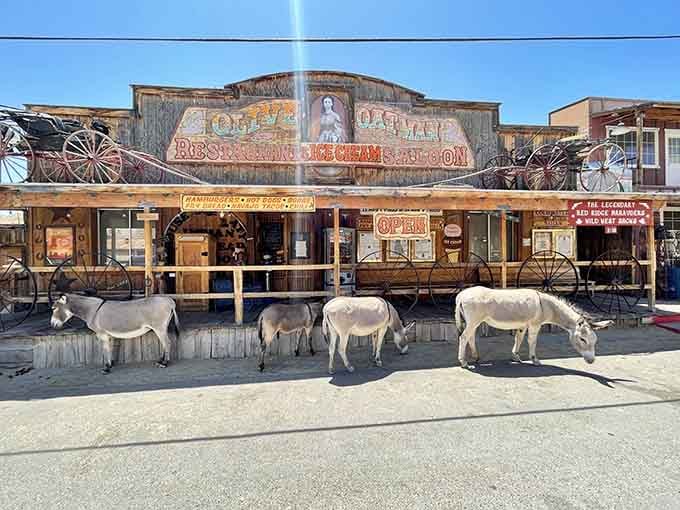 Wild burros know the best spots in town, and they're currently blocking the entrance to this Old West general store.