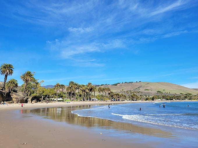 Palm trees line this protected beach where the water stays calm enough for the whole family to enjoy.