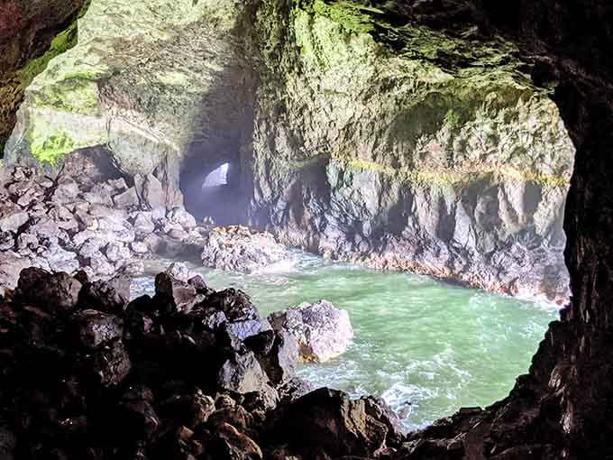 Inside this massive sea cave, the turquoise water churns while hundreds of sea lions bark their approval.