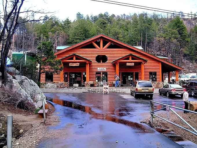 Log cabin perfection nestled in towering pines where the wet pavement reflects pure mountain town tranquility.