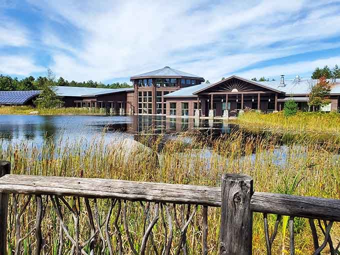 Modern architecture meets wetland beauty where wooden boardwalks lead to discovery and otters steal the show every single time.