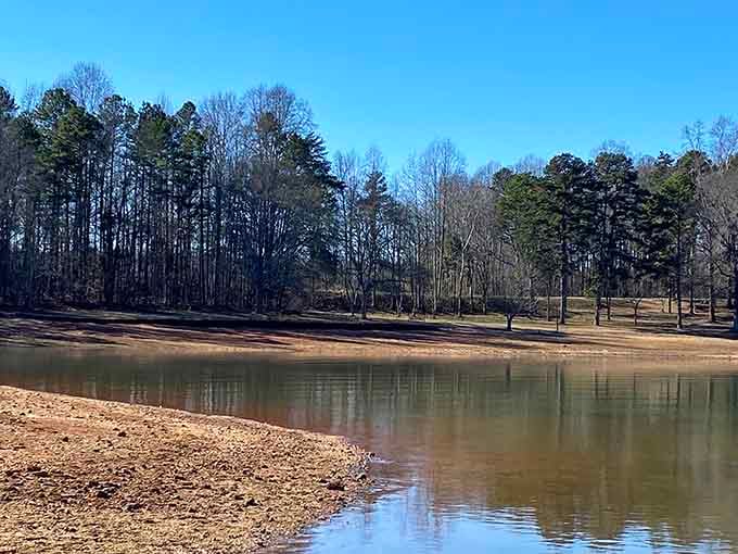 That sandy shoreline curves gently into calm waters, creating the perfect spot for quiet contemplation.