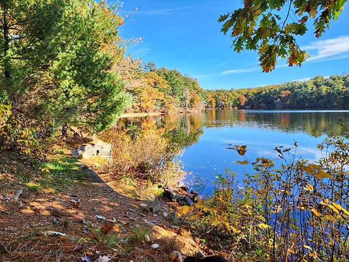 Early autumn transforms the lakeside into a watercolor masterpiece with nature wielding the brush like a master.