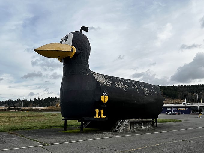 This oversized waterfowl stands guard like a feathered sentinel, proving that roadside charm never goes out of style.