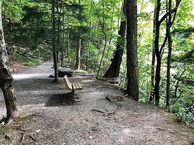 A quiet bench along the wooded trail to the falls &mdash; sometimes the journey rivals the destination.