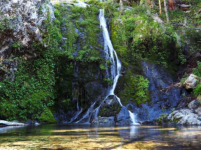Moss-draped rocks and rushing water create a forest scene that feels like stepping into a fairy tale.