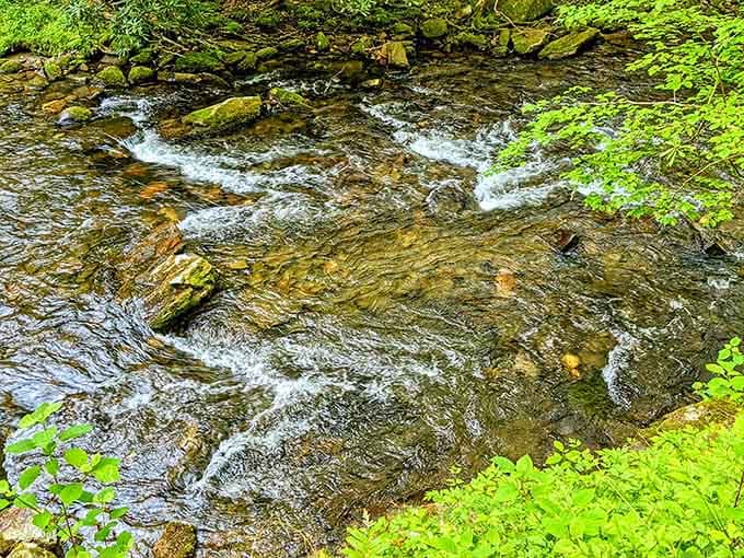 Crystal-clear creek water flows over smooth stones, creating the perfect spot for dangling tired feet after hiking.