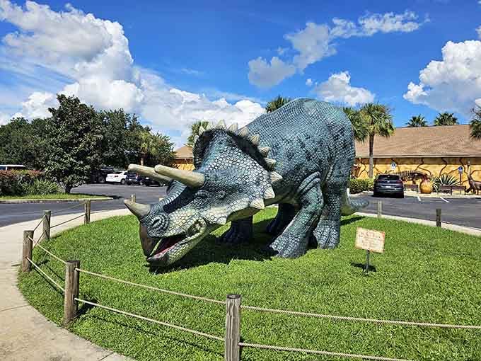 This blue Triceratops guards the lawn with three-horned pride, delighting kids and nostalgic adults alike.