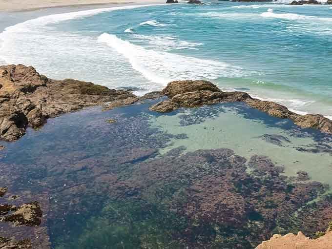 Tide pools shimmer like nature's own aquariums, revealing secret underwater worlds in brilliant blues and greens at low tide.
