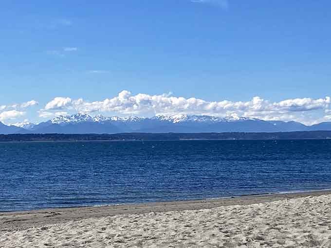 Those puffy clouds floating above the Olympic peaks create a backdrop worthy of a travel magazine cover shot.