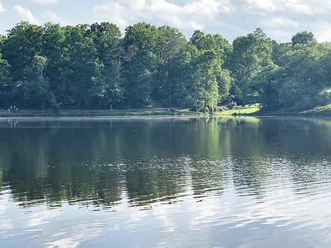 When the trees mirror perfectly in the water, you know you've found your peaceful place to breathe deep.