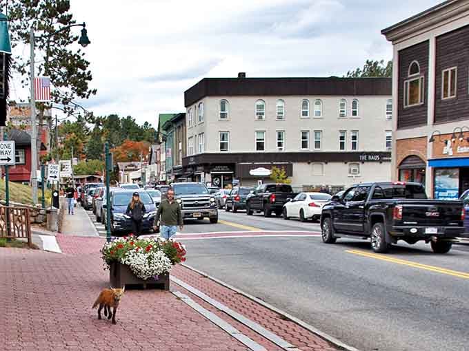 Lake Placid's charming Main Street welcomes visitors with historic buildings, local shops, and those stunning Adirondack mountains watching over everything beautifully.