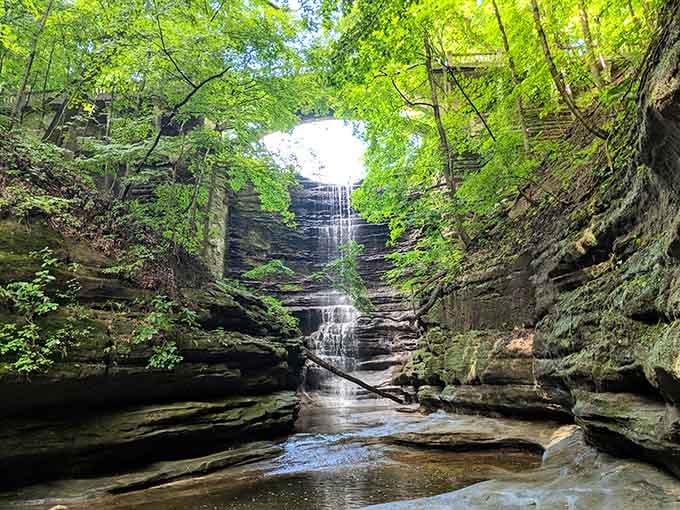 Nature's cathedral reveals itself through emerald leaves, as water cascades down layered rock like liquid silver poetry.