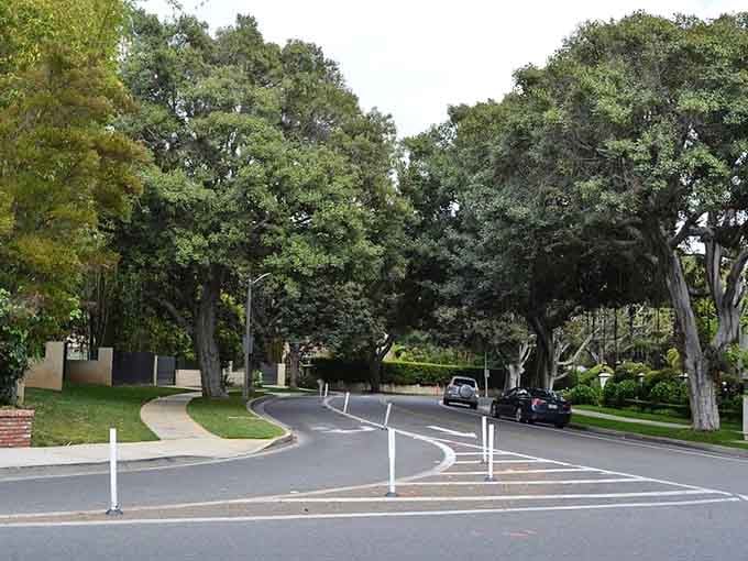 Mature oaks create a canopy overhead, turning an ordinary street into a peaceful green sanctuary worth savoring.