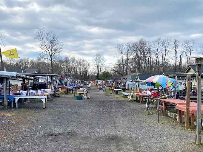 Colorful umbrellas dot the landscape like a carnival, sheltering vendors and their eclectic collections on this perfect day.