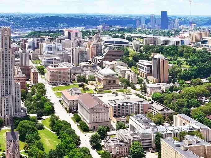 Green spaces meet academic buildings in this aerial view, proving cities can breathe and think at the same time.