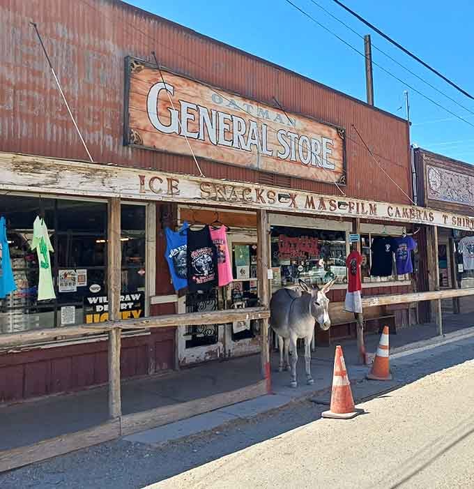 Weathered wood and faded paint create authentic frontier atmosphere where four-legged locals outnumber the two-legged variety most mornings.