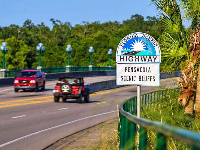 The Pensacola Scenic Bluffs sign promises elevation changes, which in Florida counts as mountaineering, practically speaking.