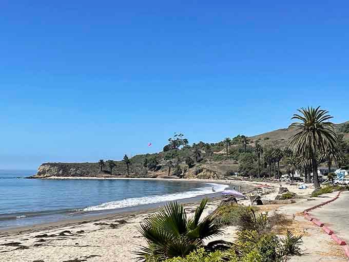 Those swaying palms and gentle curve of shoreline create a postcard-perfect scene that never gets old.