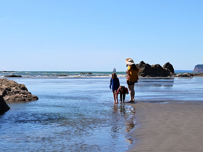Families explore the shoreline where smooth stones meet gentle waves in this peaceful coastal sanctuary.
