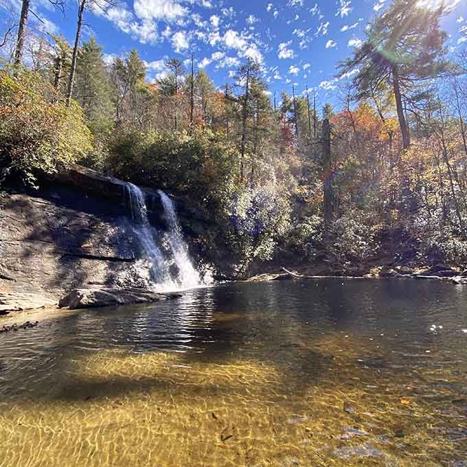 Crystal-clear water reveals every golden stone on the bottom while fall colors explode in the surrounding forest.